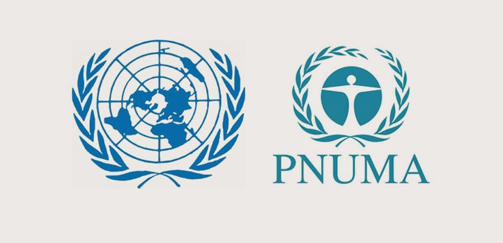 OBSERVATORIO DE LA RED-SA: INFORME ANUAL MEDIOAMBIENTE 2014 ONU