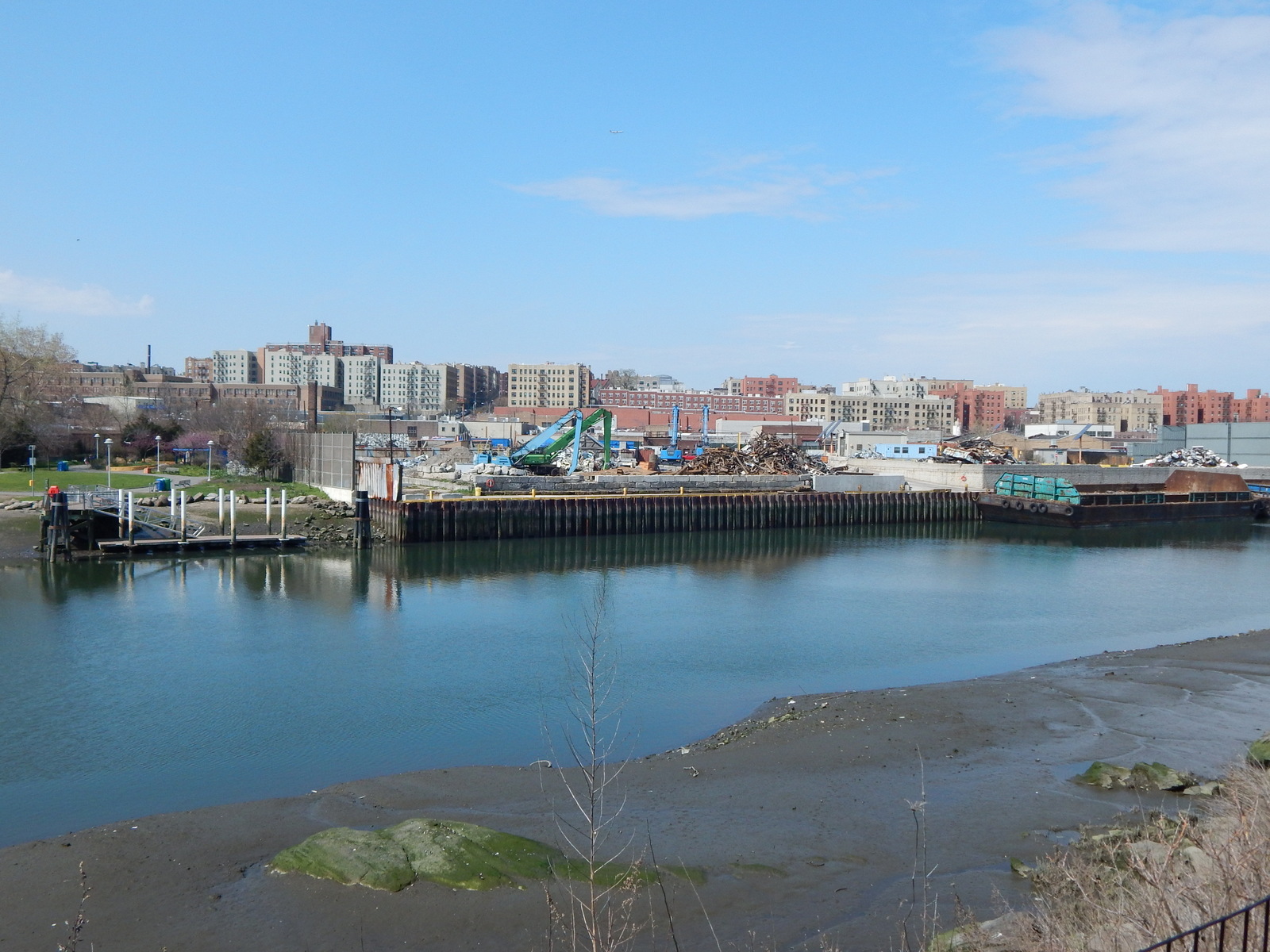 Earth on the Wing: Birding the Bronx River along Soundview Park
