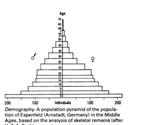 Bat in the Attic: Medieval Population Pyramid