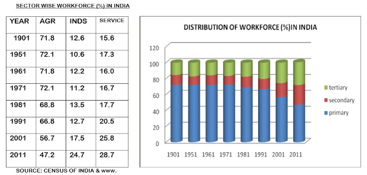 GEOGRAPHY-WORLD AND INDIA: What is occupational structure ...