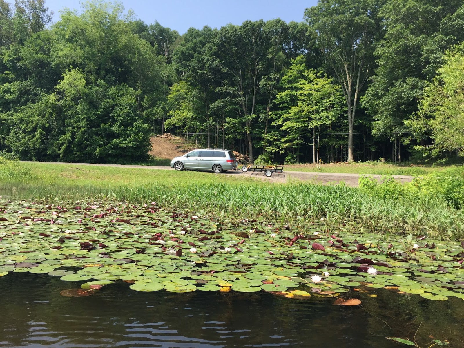 Kayaking Across Ohio: Lake Rupert: Damselflies' Playground