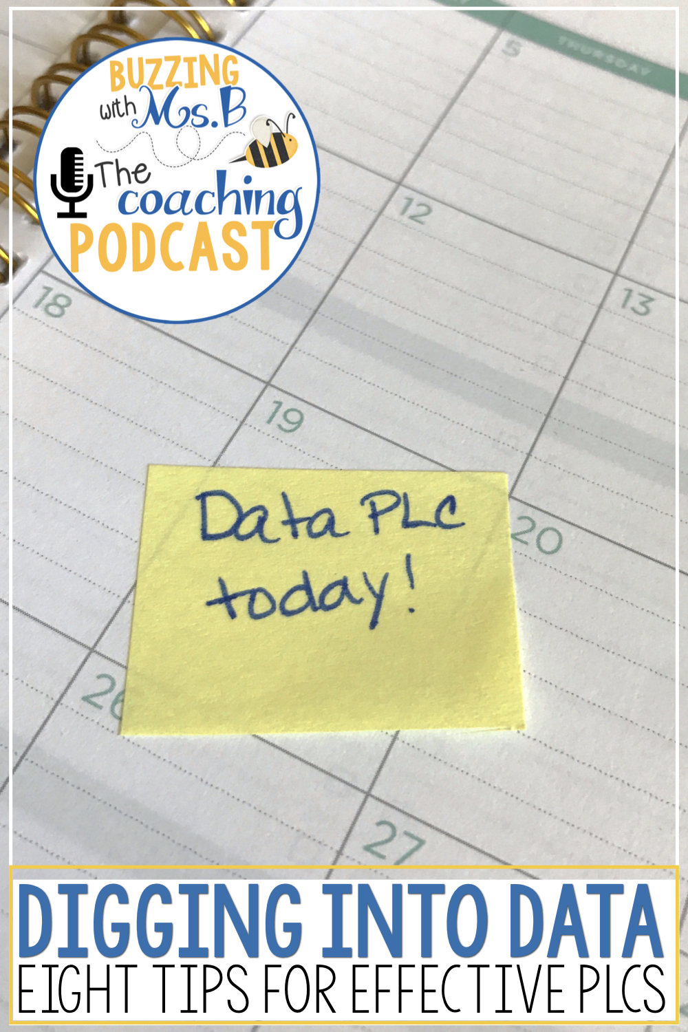 Eight Tips for Digging into Data, The Coaching Podcast, Ep. 8 - Buzzing ...