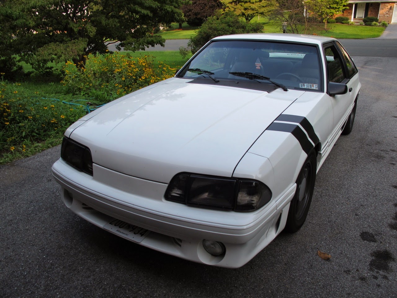 Reader Ride: Foxy Lady In White - DailyTurismo