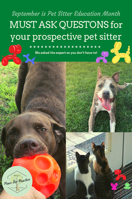MUST ASK QUESTIONS for your prospective pet sitter for Pet Sitter ...