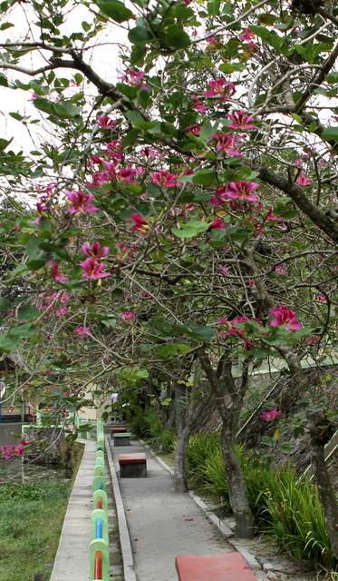catatan perjalanan: outside Telaga Putri (Telogo Putri)