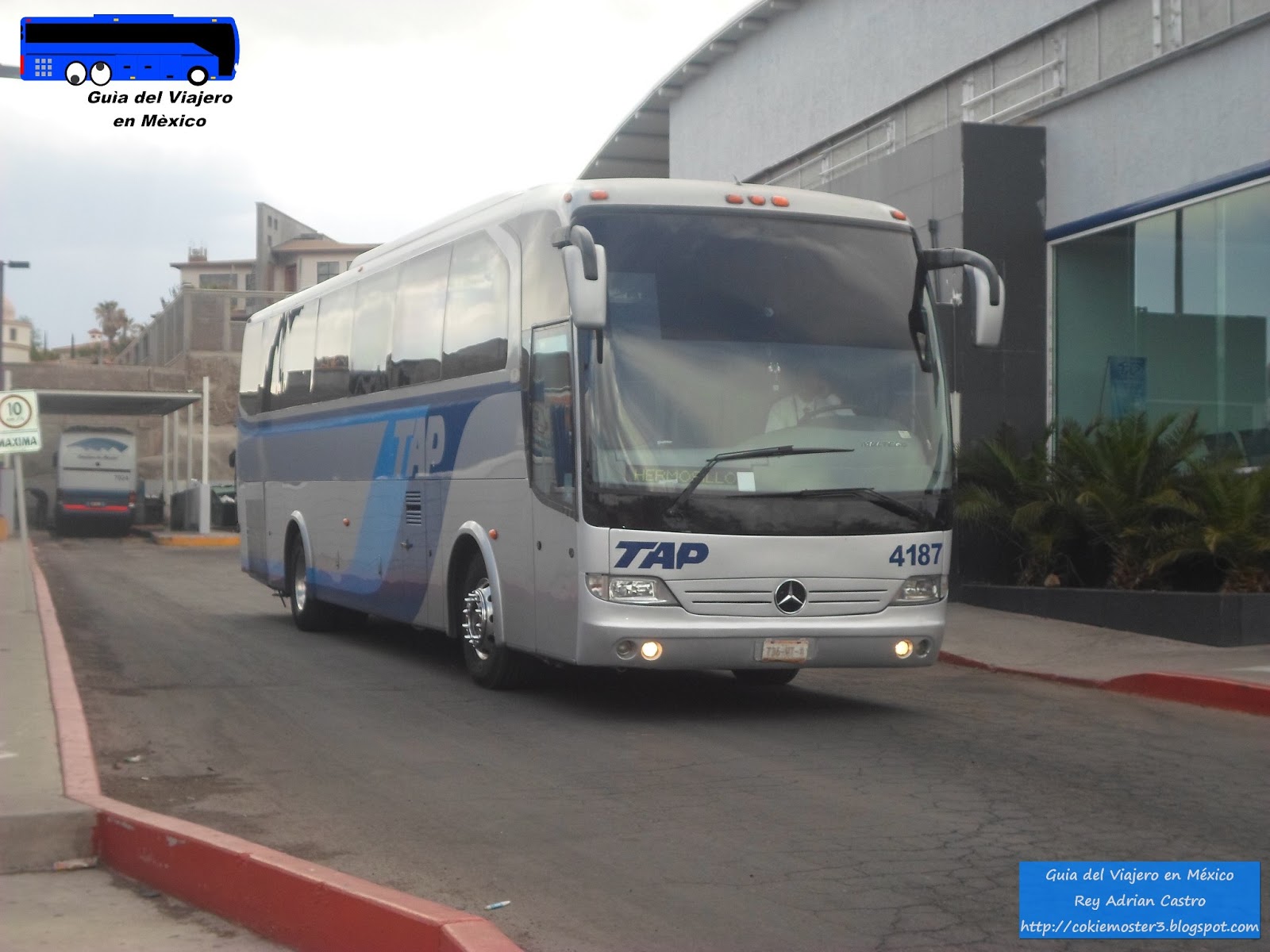 Transportes Publicos: Autobuses TAP
