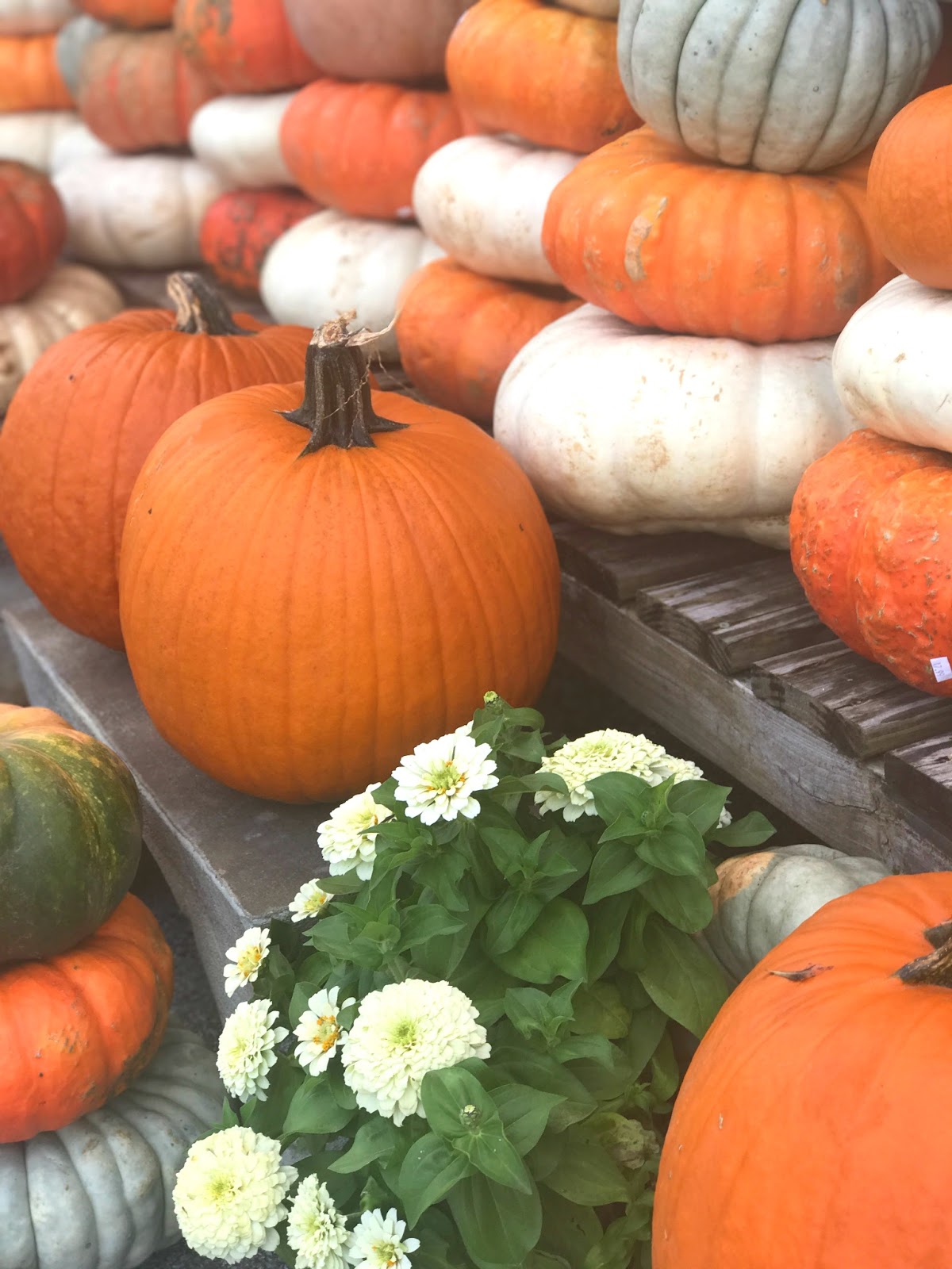 A Little Loveliness: Celebrating Autumn Pumpkins