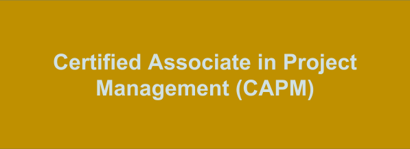 Certified Associate in Project Management (CAPM) | Process News