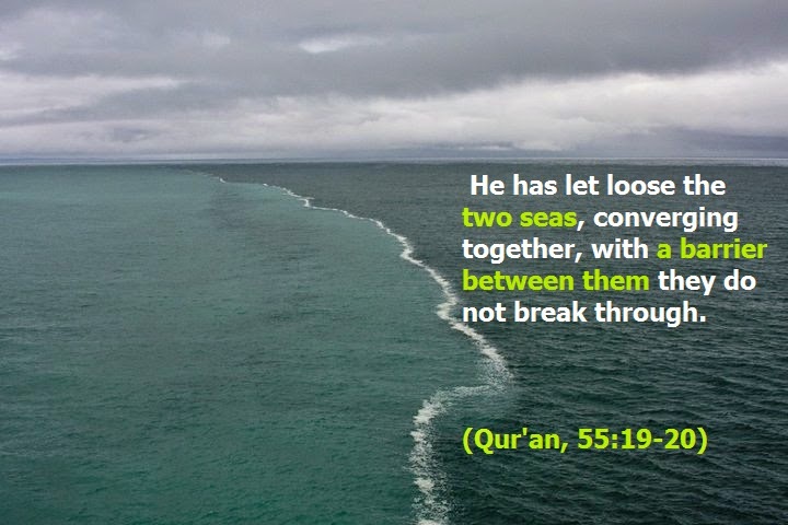 JALWAH: Mythbusting 'the place where two oceans meet' in the Gulf of Alaska