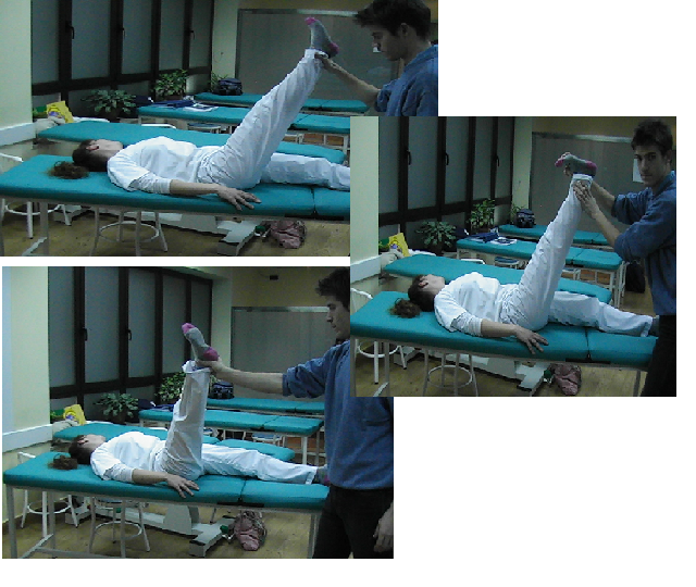 Algo más sobre Anatomía: TEST PARA EL DIAGNOSTICO