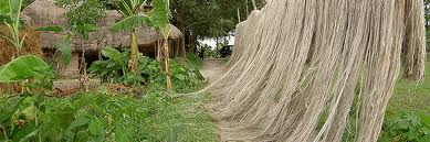 YUTE: Yute Fibra 100% natural