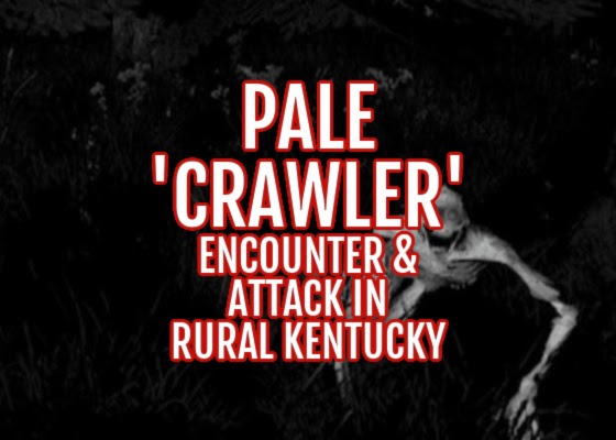 Phantoms and Monsters - Real Cryptid Encounter Reports - Fortean ...