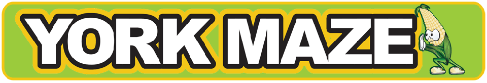 Yorkshire Bloggers: York Maze