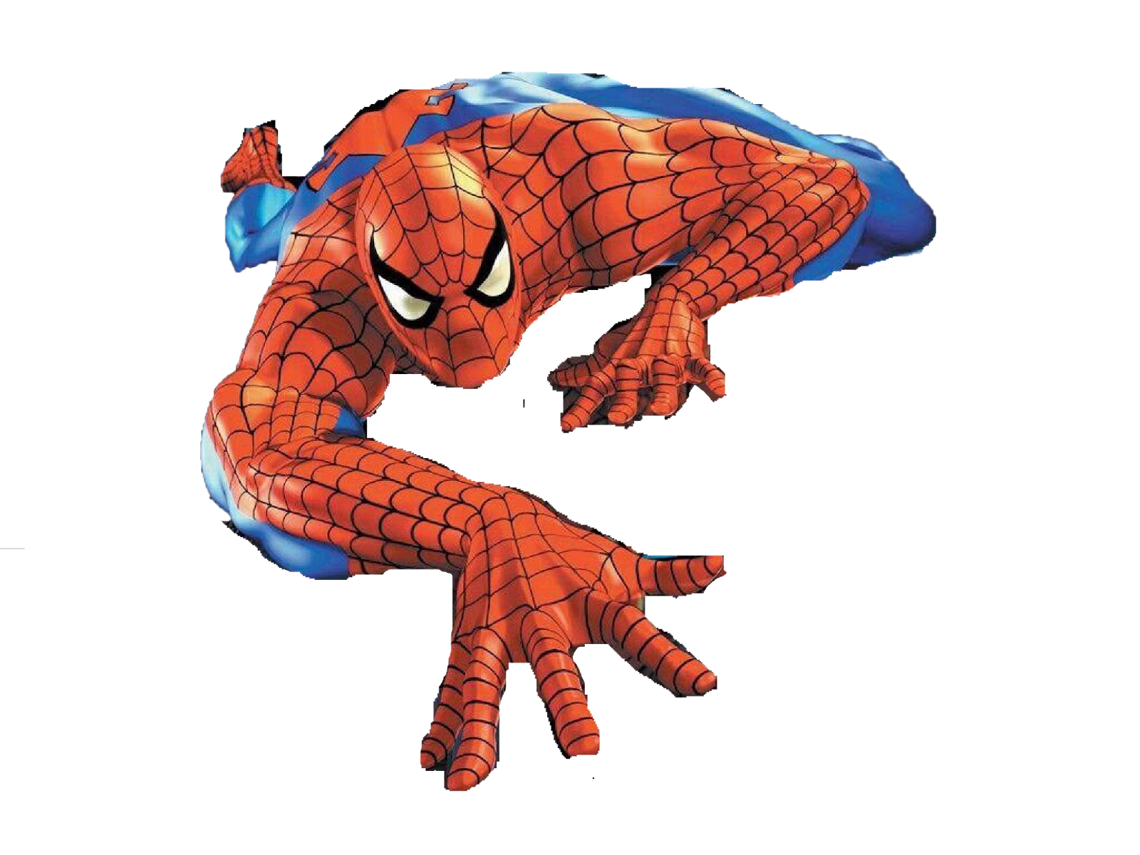Spider-Man: On a transparent background