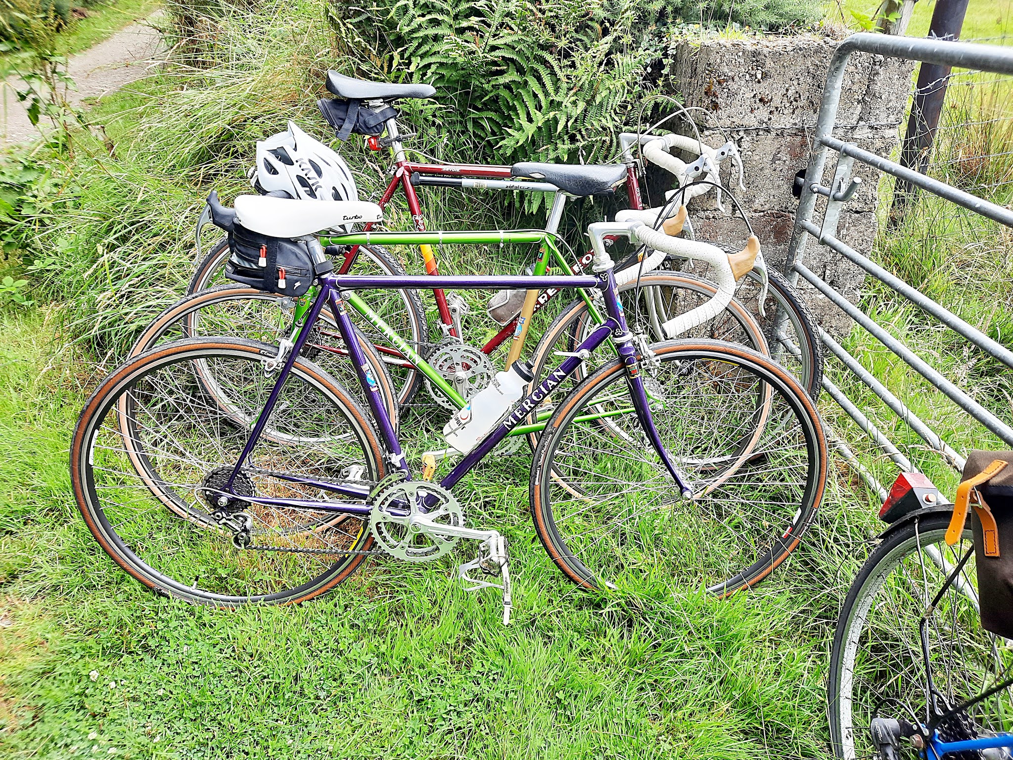 Veteran Cycle Club Northern Ireland Section: Events