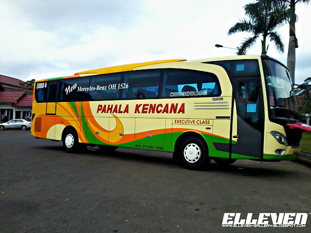 Elleven Galleries: Sensasi Ngeblong Gila Cebong Jaya