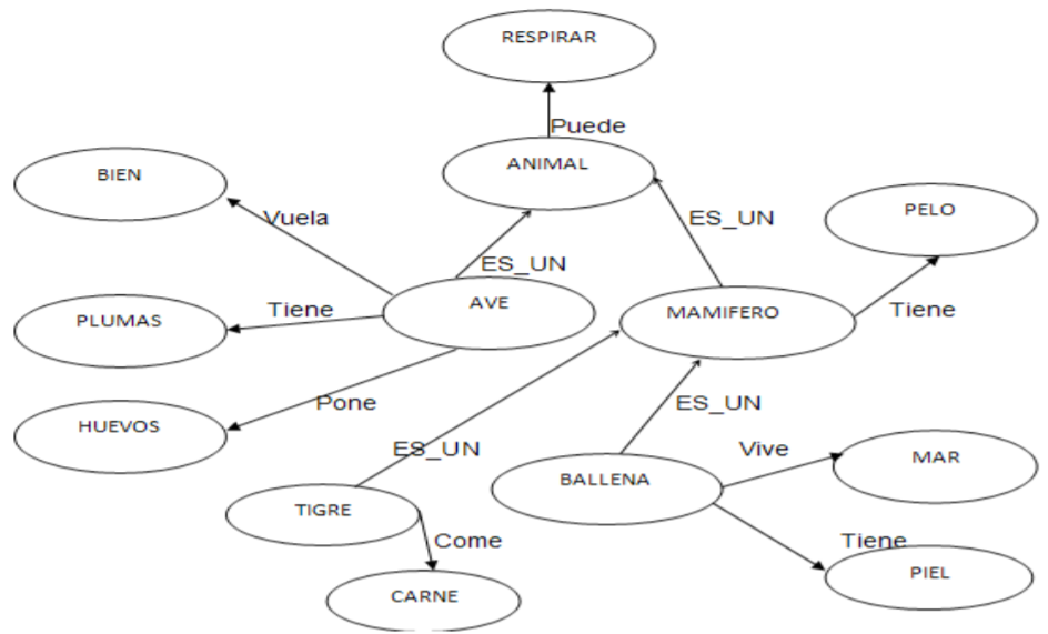 REDES SEMÁNTICAS : REDES SEMÁNTICAS, CARACTERÍSTICAS, VENTAJAS ...