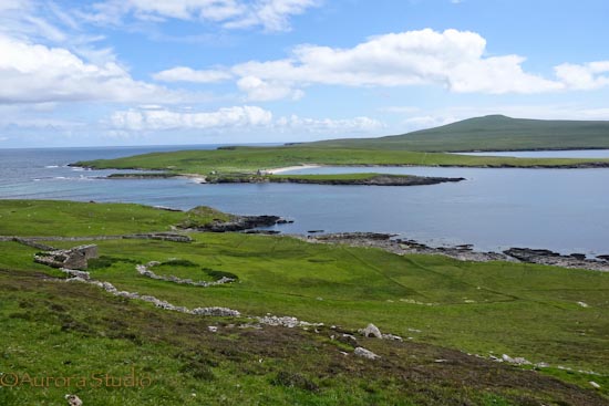 Isle of Noss, Shetland
