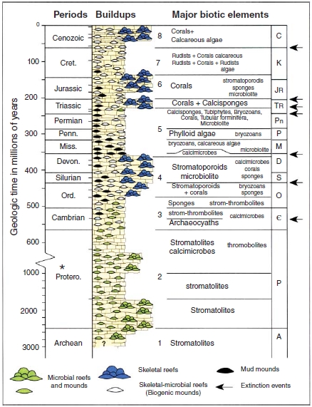 Rapid Uplift: Infographic: Reefs Through Geologic History