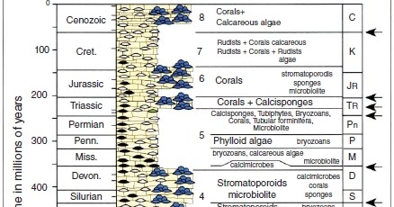 Rapid Uplift: Infographic: Reefs Through Geologic History
