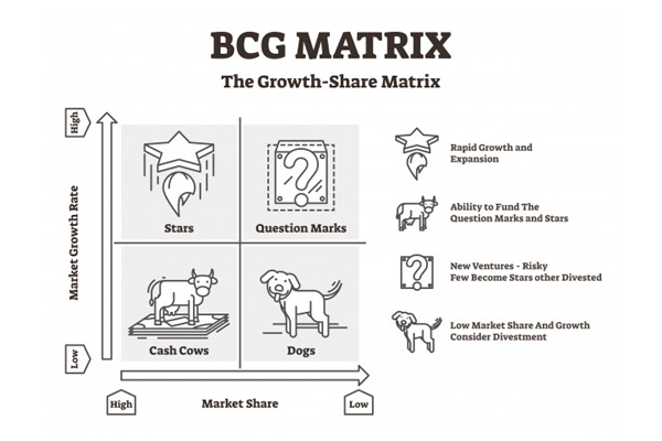 BCG Matrix Model to Identify the Brand Position in the Market