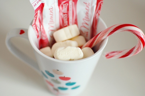 a champagne dream: DIY Christmas Mugs
