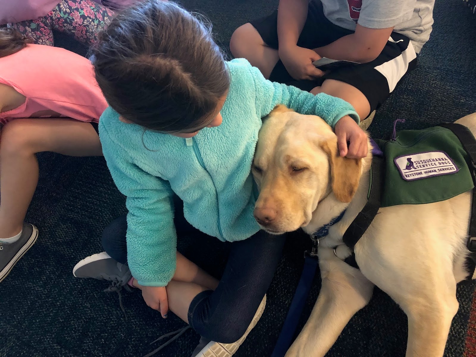 Susquehanna Service Dogs: A Service Dog Makes an Impact on an Entire School