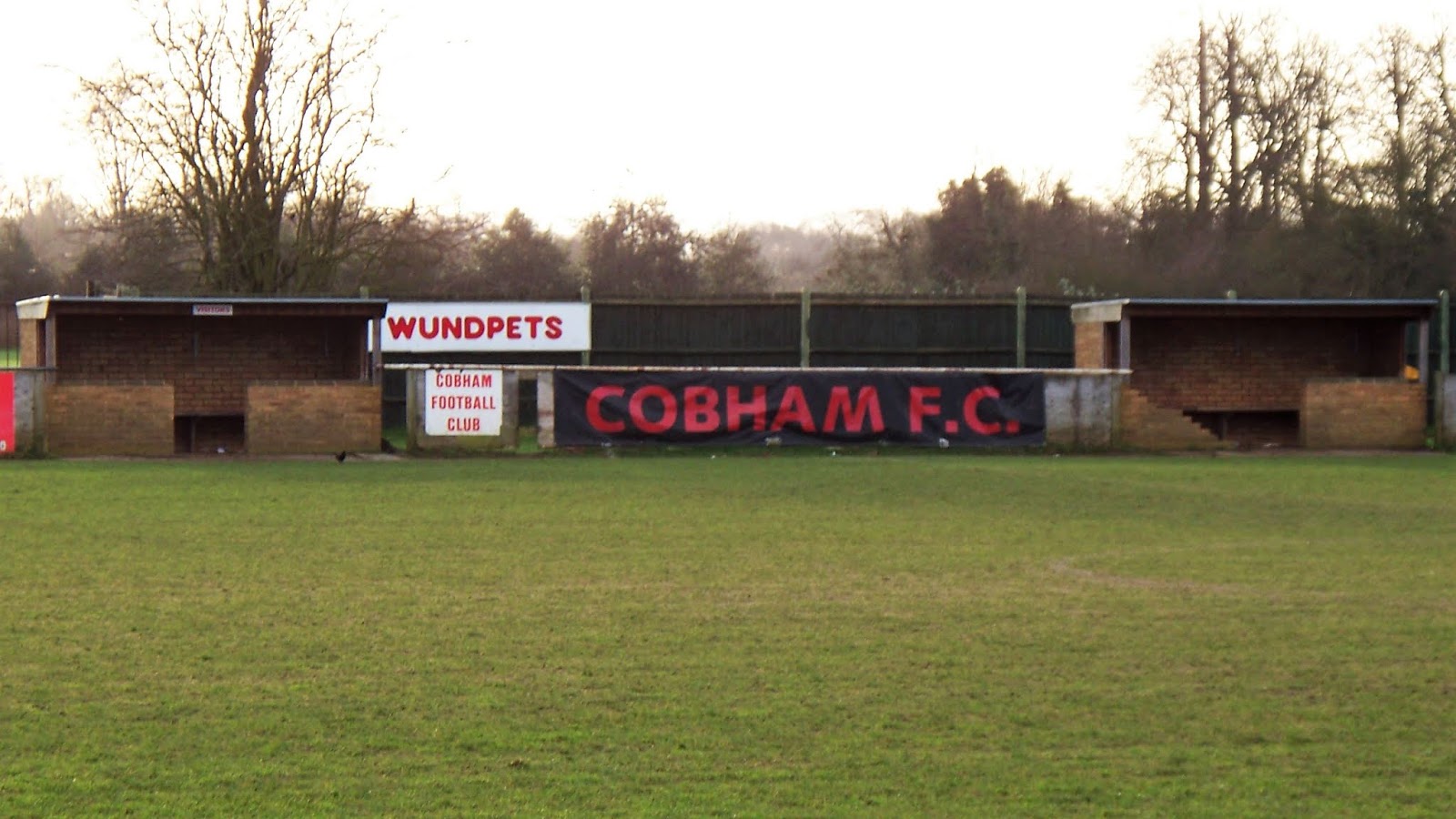 The Wycombe Wanderer: Cobham - Reg Madgwick Stadium
