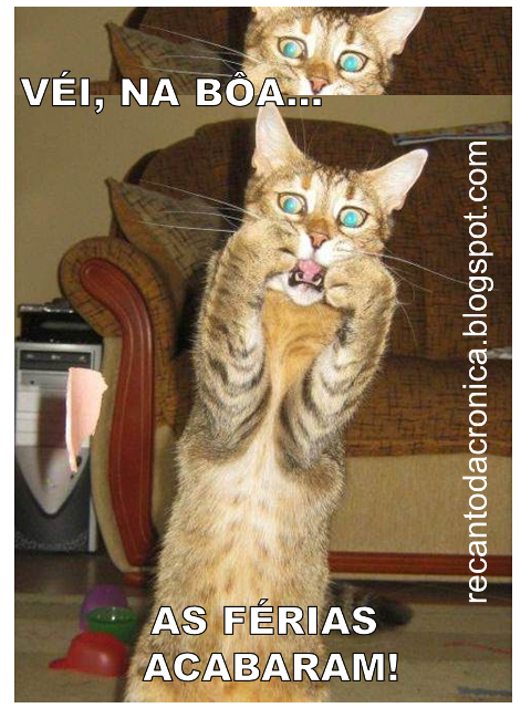 Fotos De Ferias Engracadas