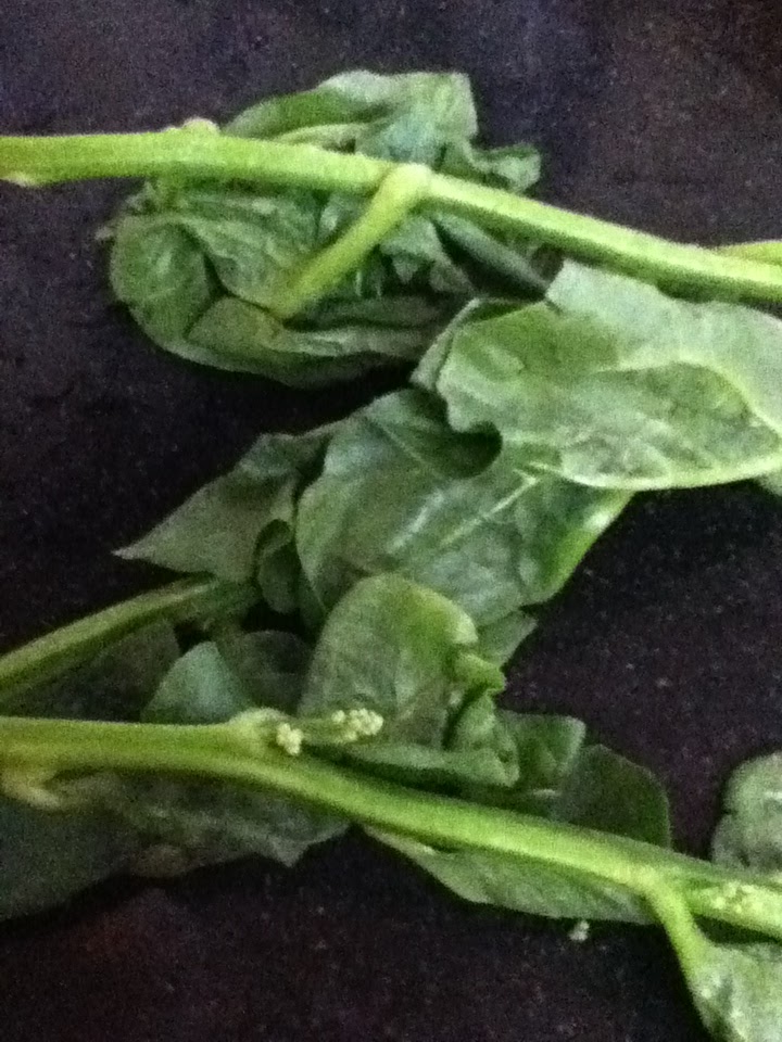 ammachethiruchi.blogspot.com: BACHALI KURA /PURSLANE LEAVES PODI KURA