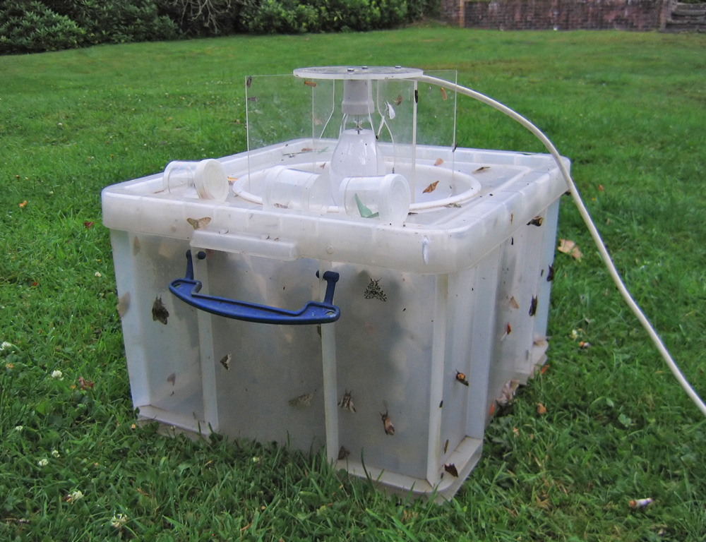 Wrights Wanderings Moth Trap