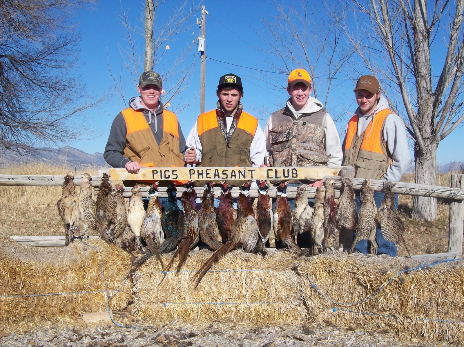 PIGS PHEASANT CLUB: Past Hunt Pictures