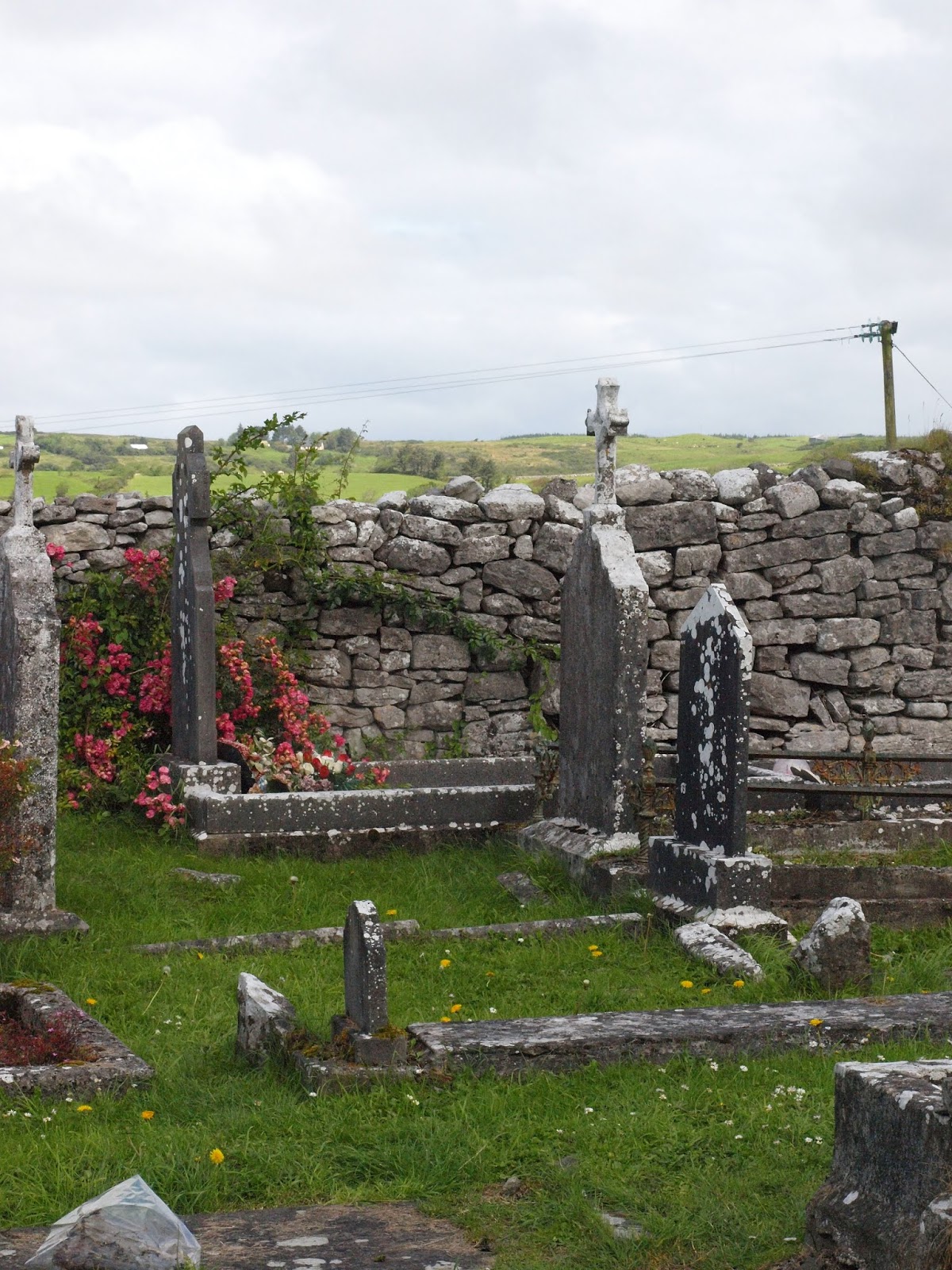 Le jardin des allongés: CATHEDRALE SAINT-FACHANAN DE KILFENORA / Irlande