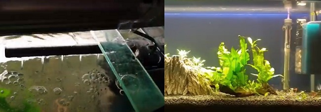How To Setup Internal Filter Aquarium