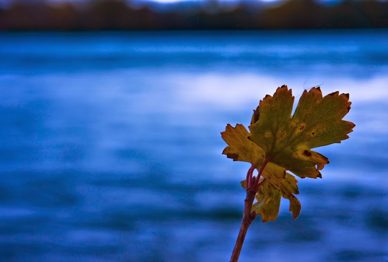 Photos, Music 'n More: Autumn in Montreal