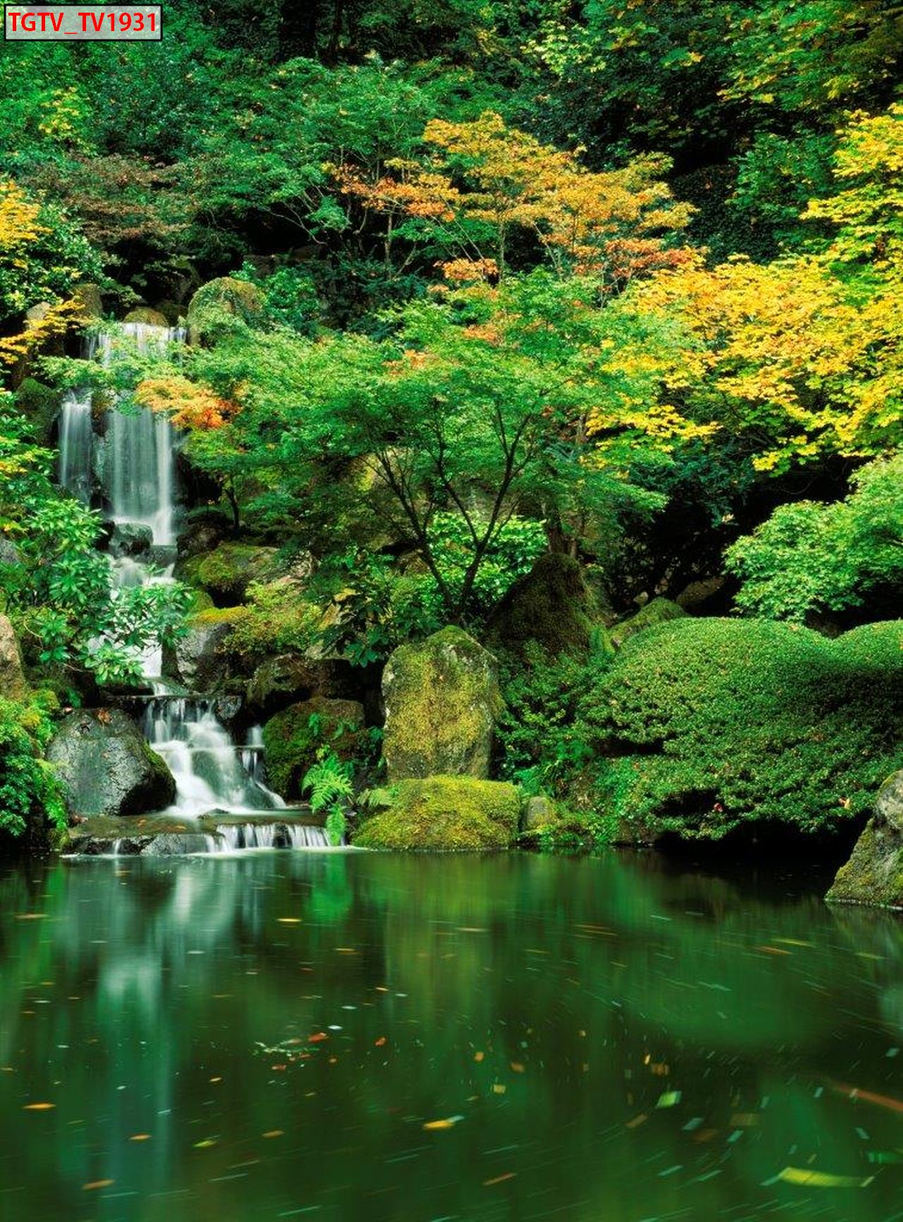 [TỔNG HỢP] Tranh Thác Nước đẹp nhất - Tranh 3D Dán Tường | Xưởng Tranh ...