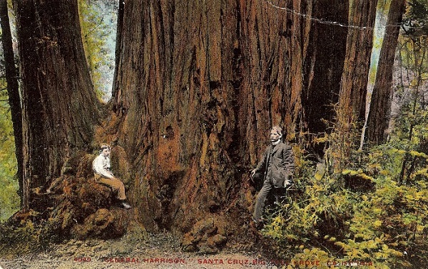 Historic Tales of Henry Cowell Redwoods State Park ----- Big Trees ...
