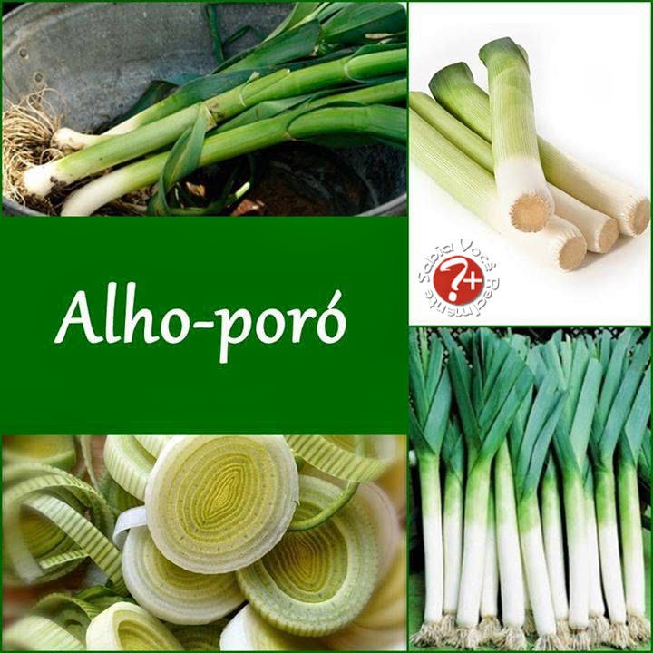 Cantinho da Cher...: Os Benefícios do Alho-Poró