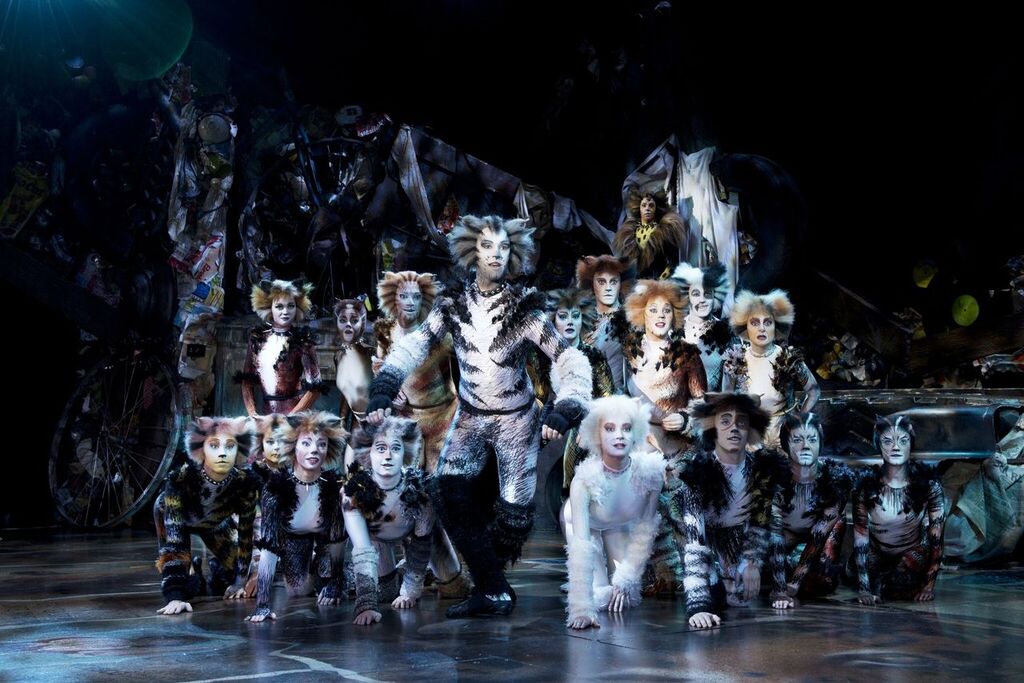 CATS Singapore Review : A Wacky Feline Experience - TheWackyDuo.com ...
