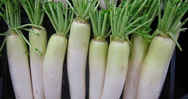 Ceasa Compras: Conheça os benefícios do nabo, um injustiçado que faz ...