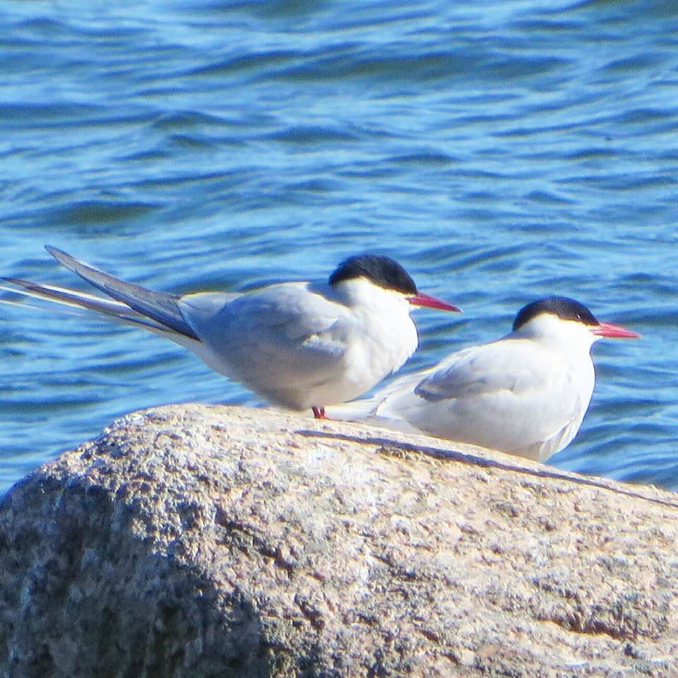 Pohdintaa elämästä ja rahan käytöstä | Tuula's life
