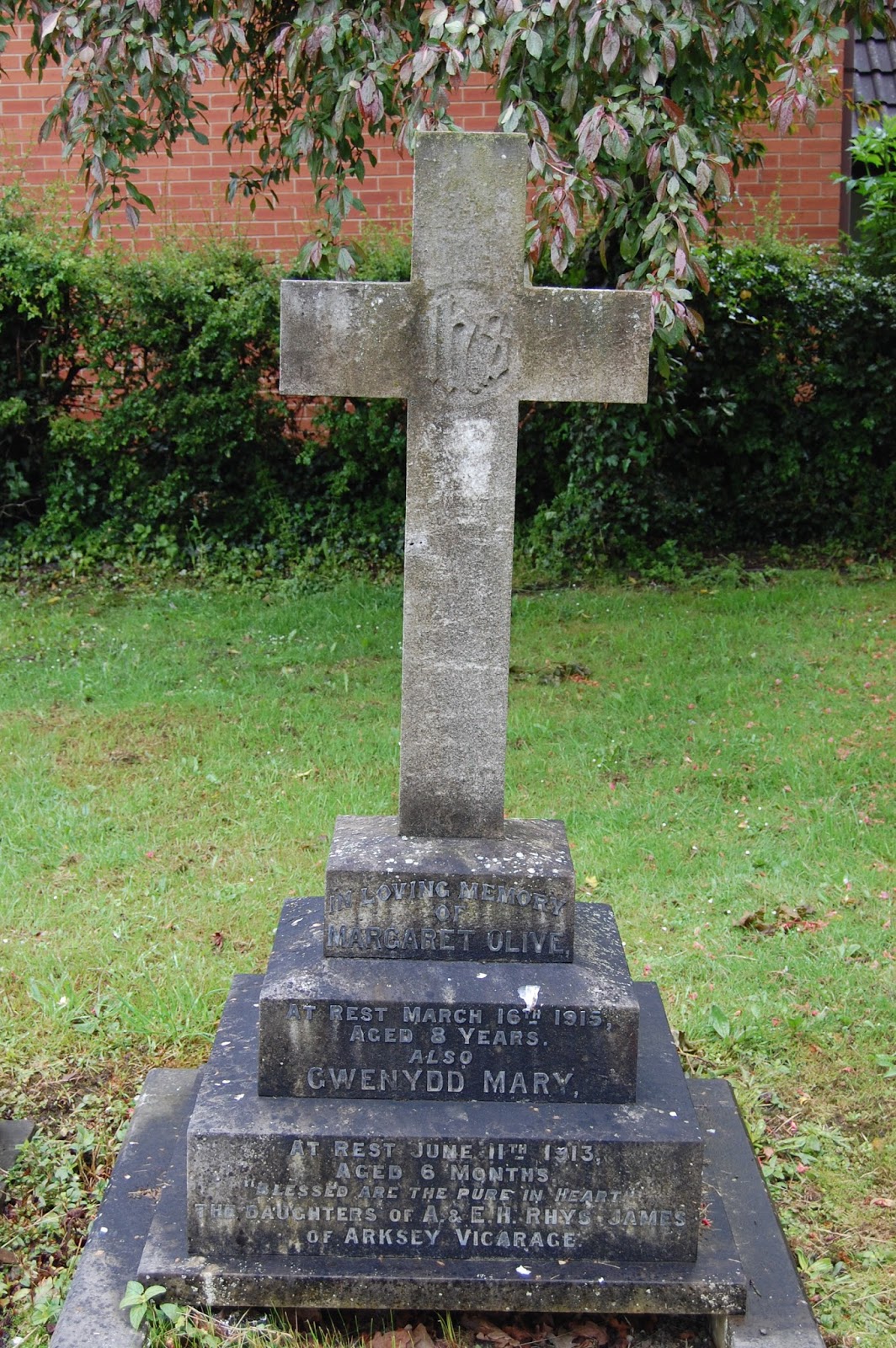 Arksey Village, A History: Old Cemetery N - Z