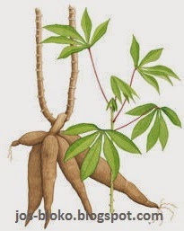 12+ Terheboh Gambar Pohon Singkong Animasi