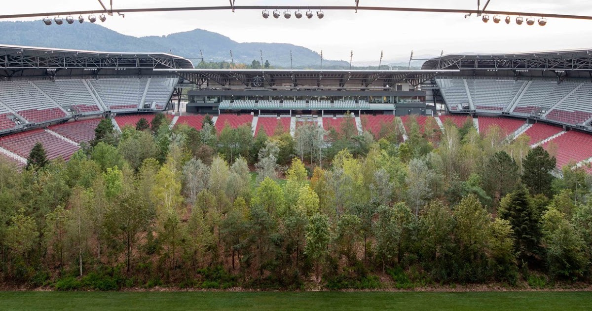 300 árboles dentro de un estádio de fútbol