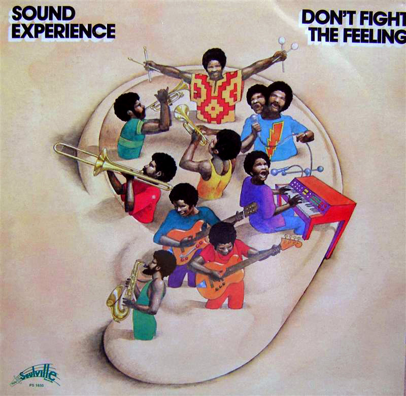 Musicology: Sound Experience - Don't Fight The Feeling 1974