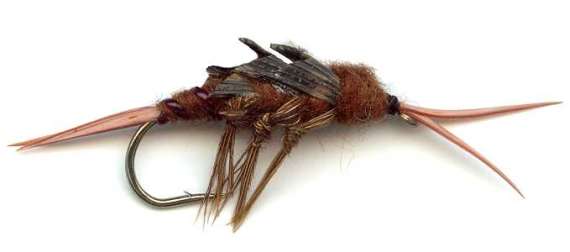 How to Use a Stone Fly When Fly Fishing ~ To Fishing With Me