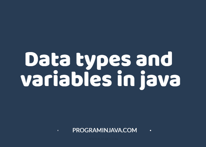 Basic Data Types And Variables In Java Continued ~ Program In Java Java Examples