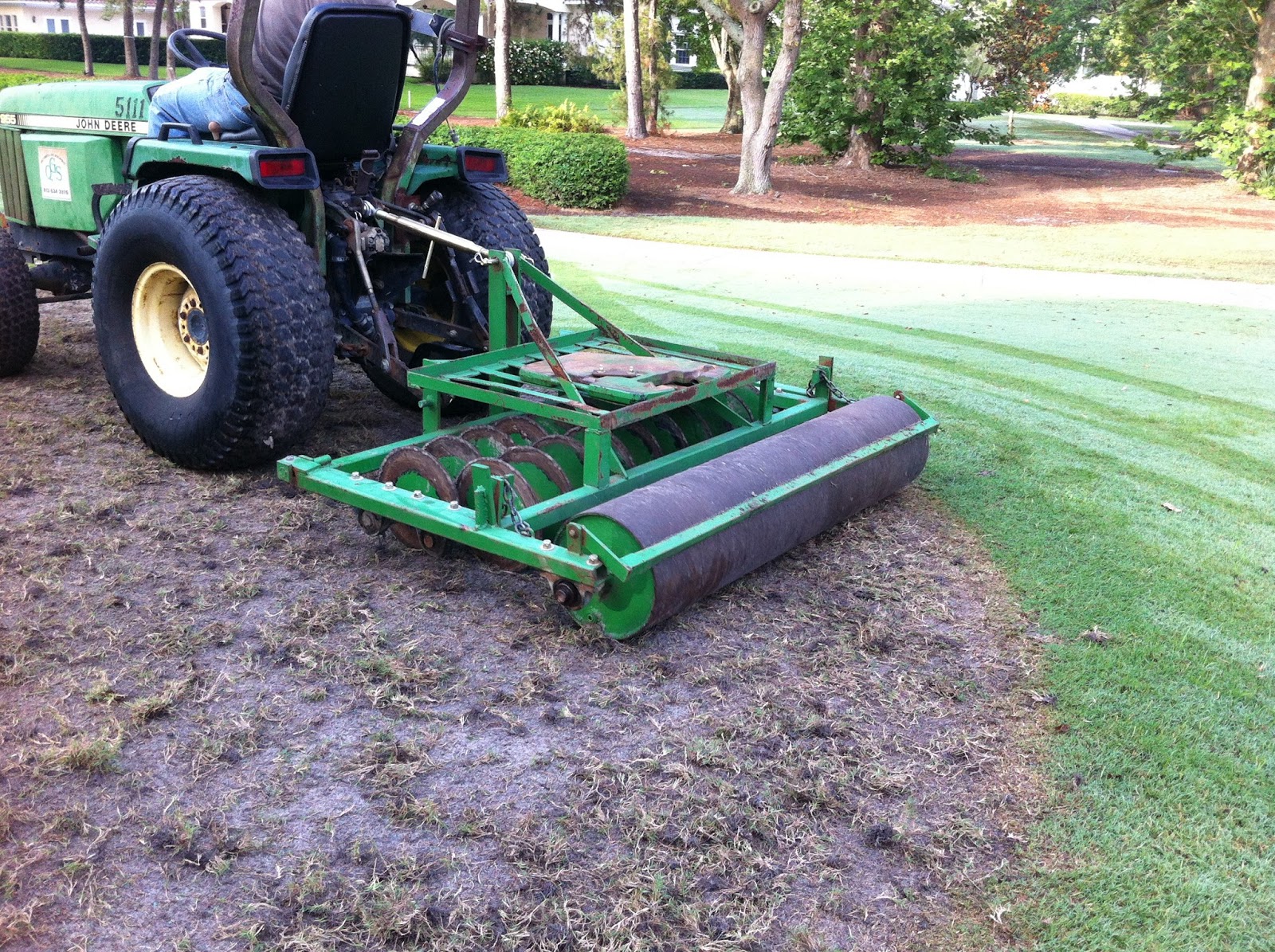 Avila Turf Maintenance : The Sprigging Process