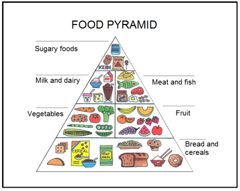 Saint Ceci's Digital Newspaper: Section for first grade: Food Education