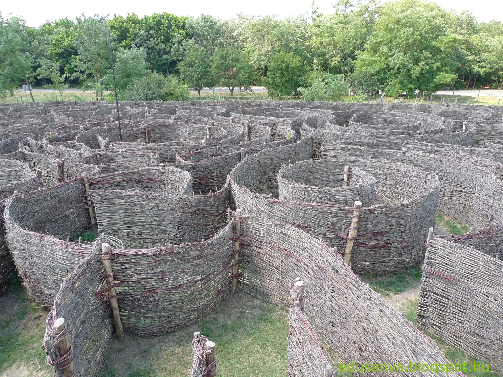 A nevem Anya. Edusanya: Labirintus